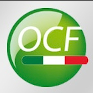 ocf 2 - Consulenza per il settore bancario, finanziario e assicurativo